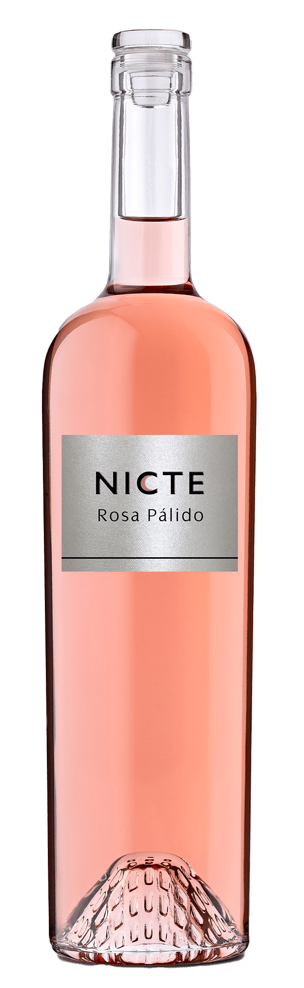 NICTE Rosa Palido Rose Castilla Y Leon